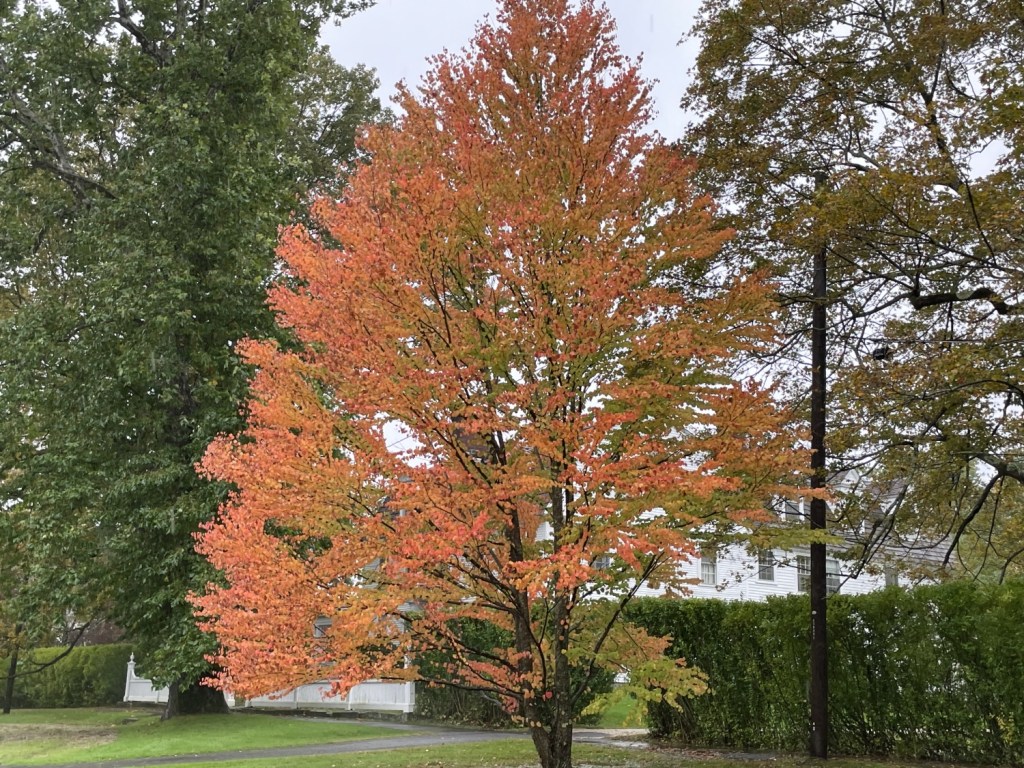 811. Essex, Lower Connecticut River Valley COG (CT7) – Geocaching While ...