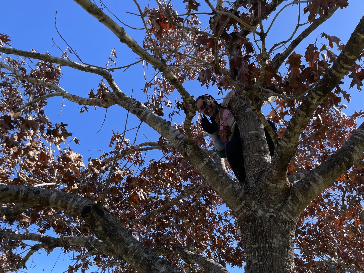 No Stone Unturned, No Tree Unclimbed – Geocaching While Black