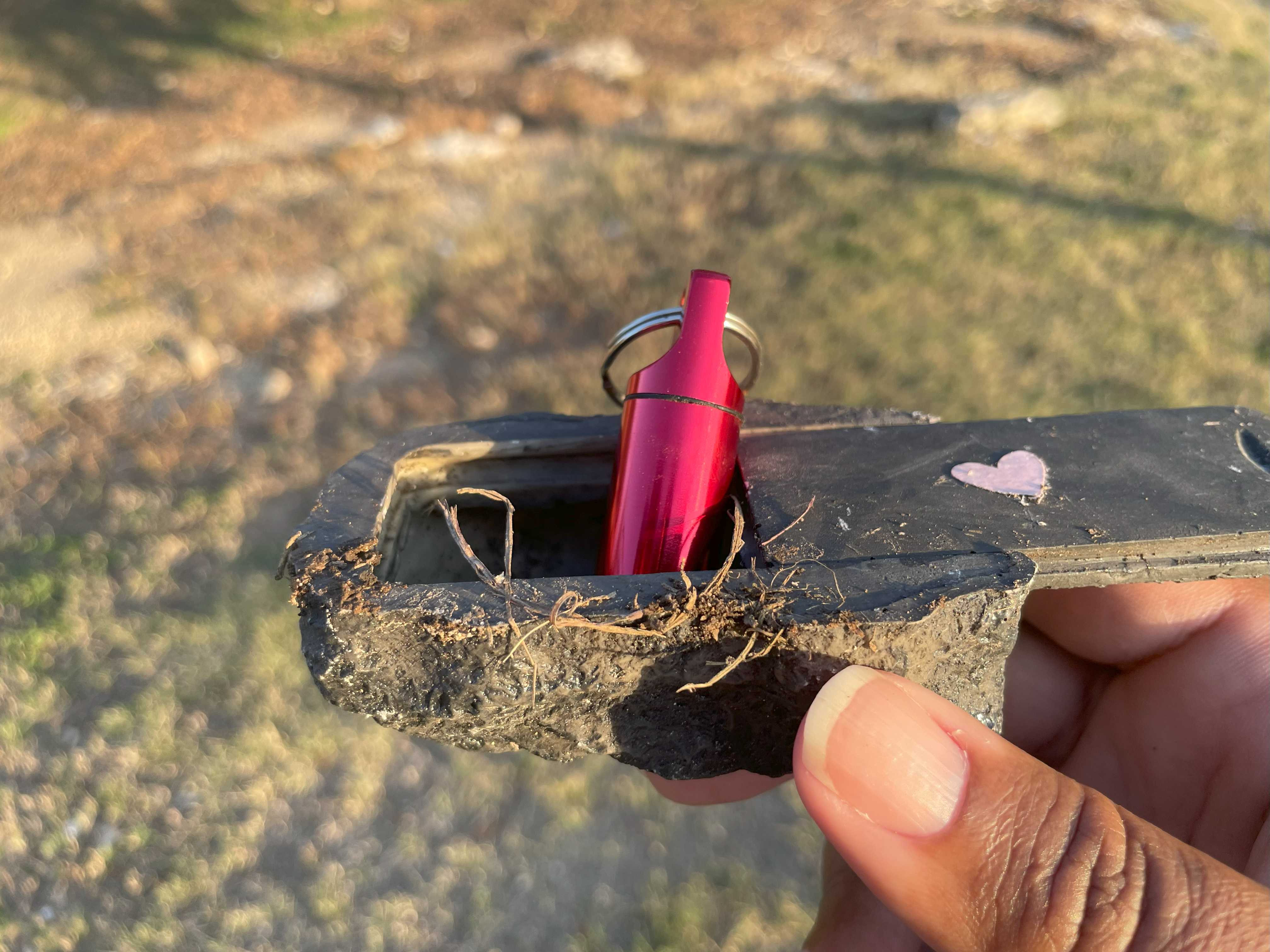 The Cat Came Back – Geocaching While Black