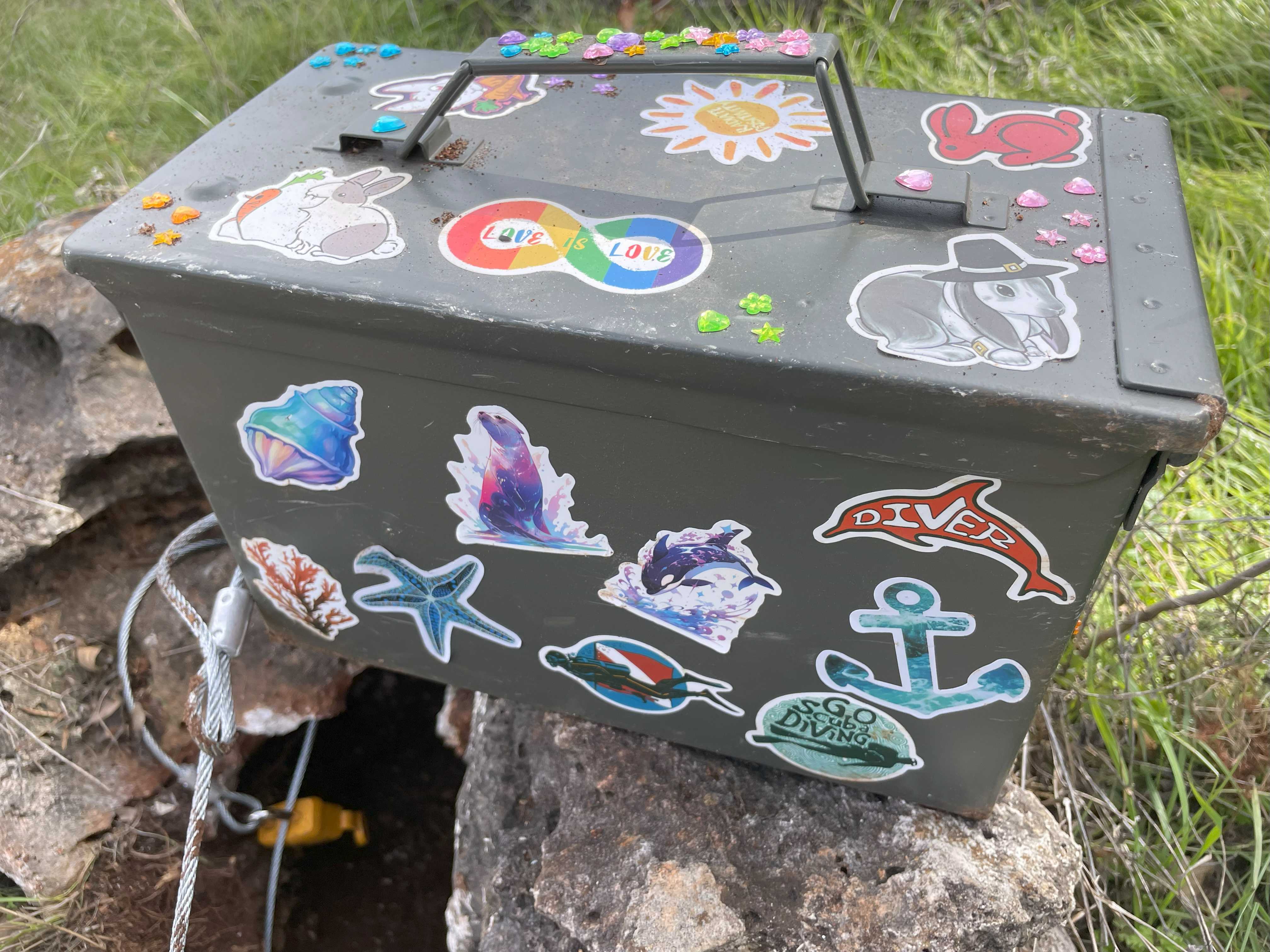 Rocks And Logs – Geocaching While Black